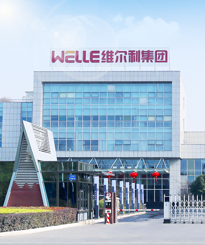 Group Profile-About Us-Welle Group
